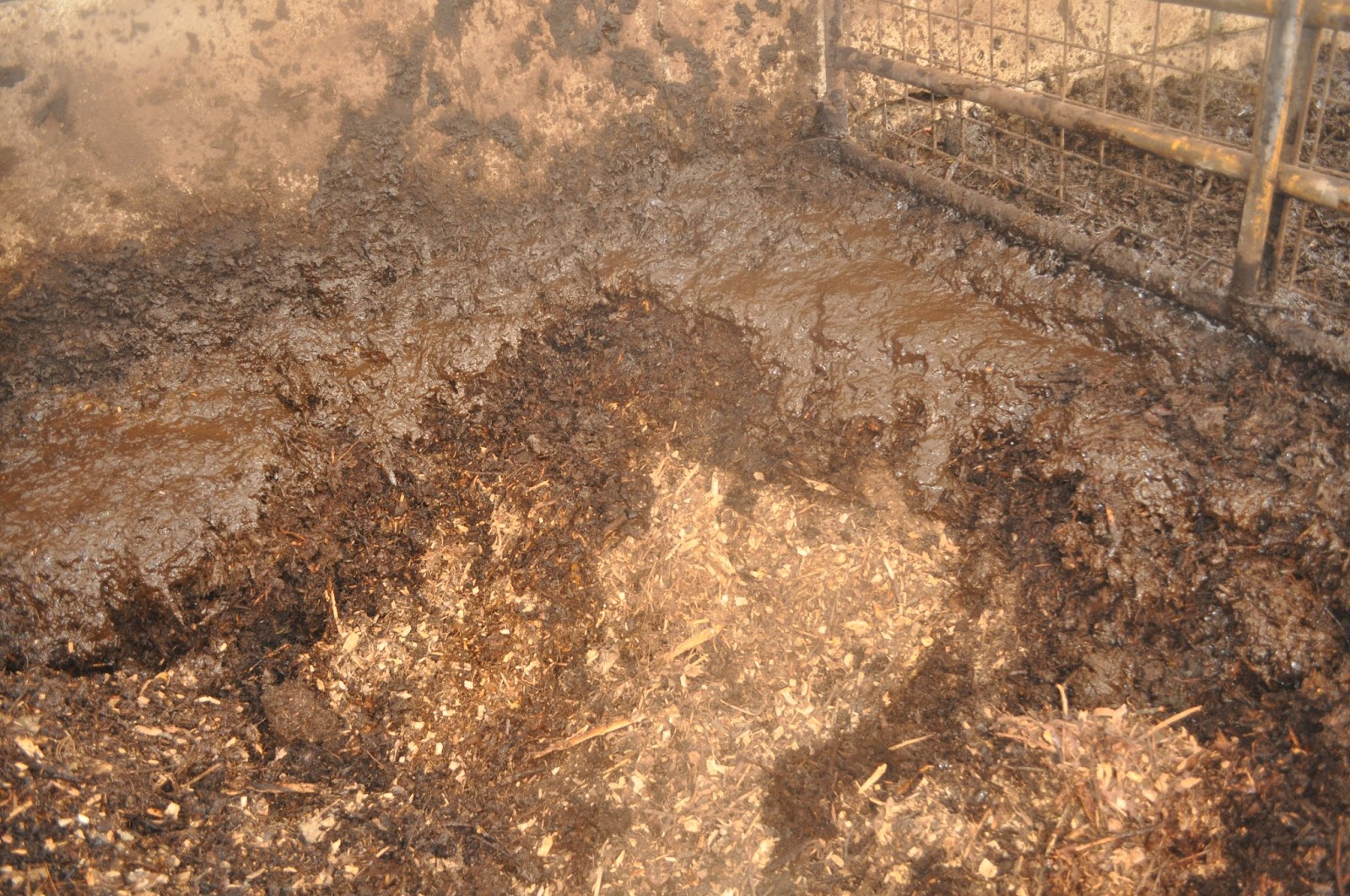 meat: Back to farming...deep litter, 90 days in.