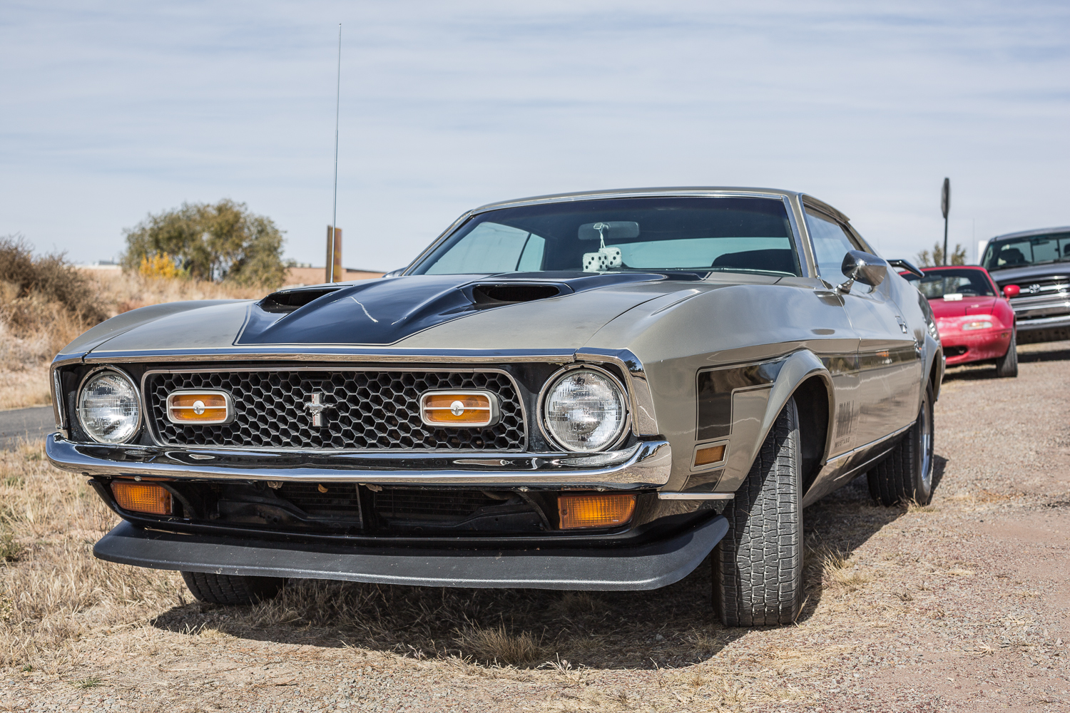THE STREET PEEP: 1971 Ford Mustang Mach 1