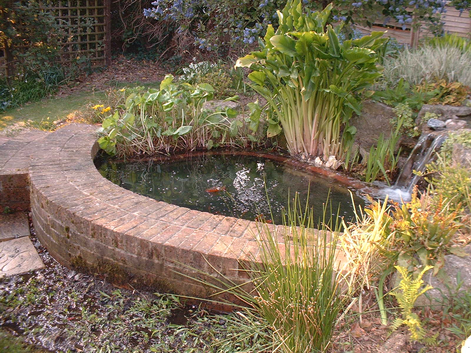 Classic Gardens: 07718 057 162: Ponds