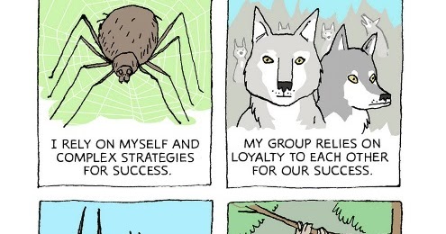 Paul's Ride Guide: Which Animal Inspires Your Success Strategy?