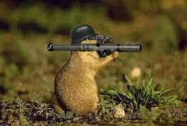 Funny Foto: Foto #11 - Hamster in Army