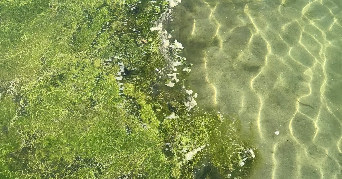 Studio 907: The Colorado Lagoon, Long Beach, California and its ...