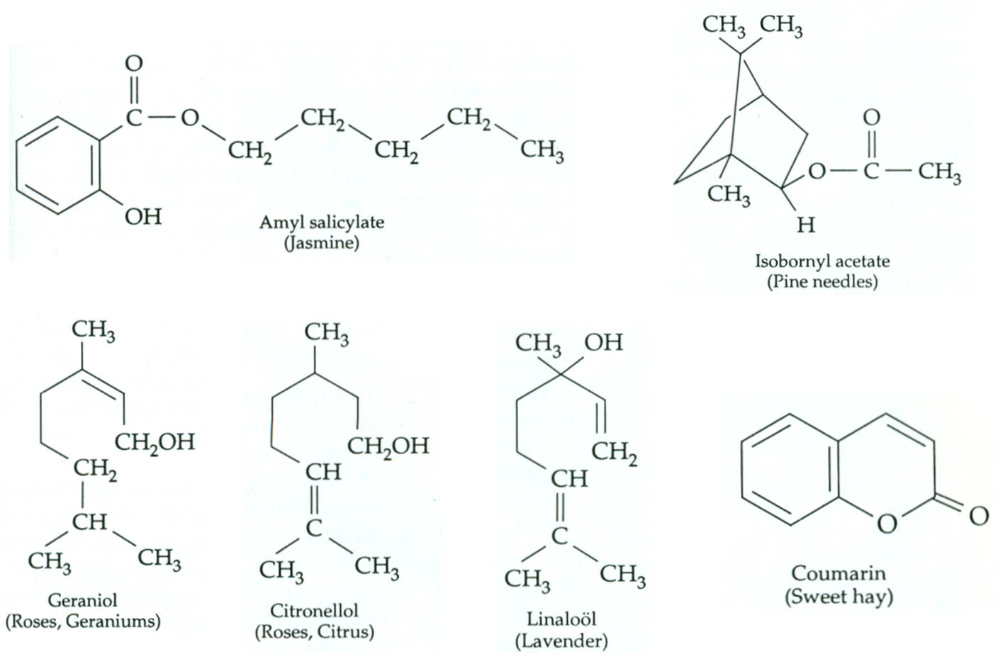 The Chemistry of Beauty