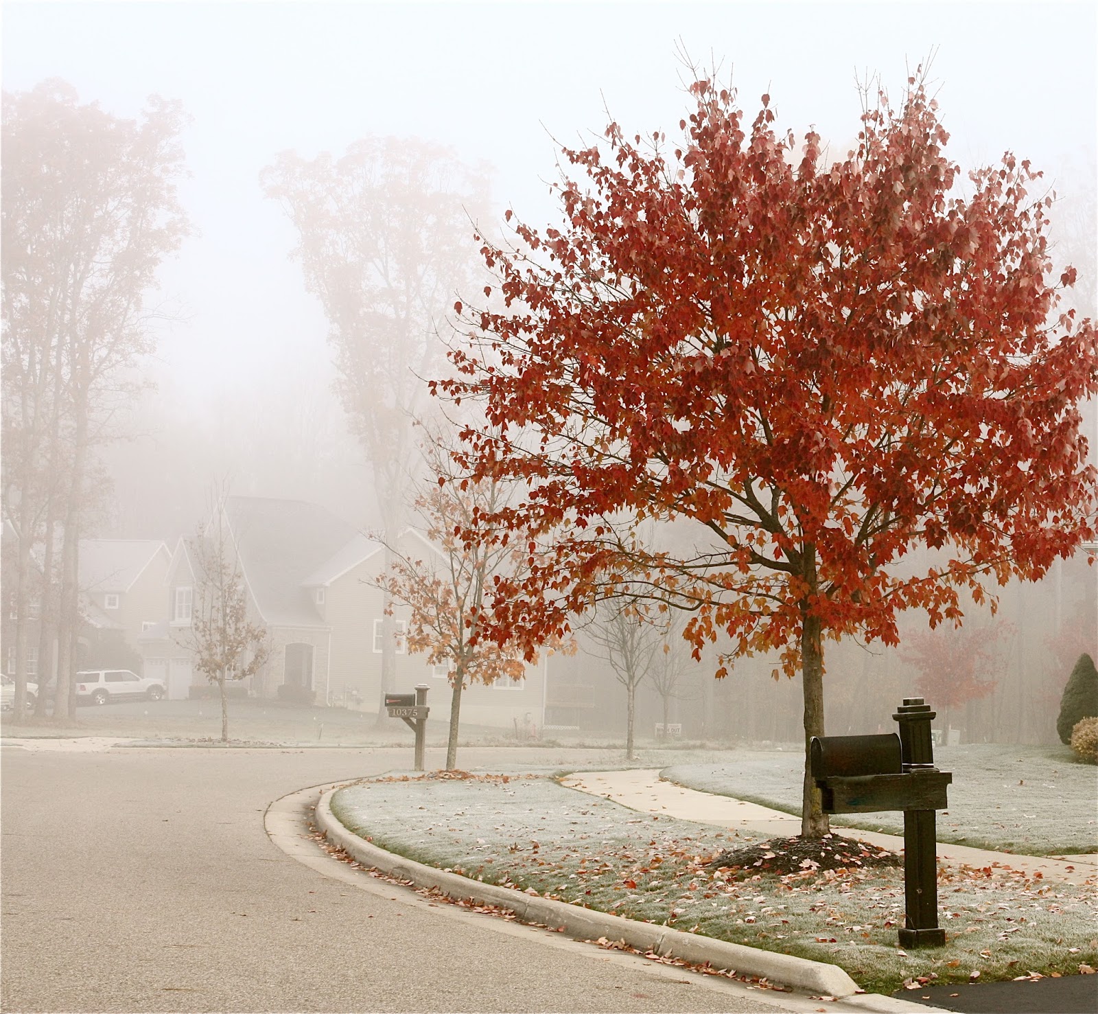 The Yellow Cape Cod: Our Fall Home~Finding Fall Home Tour With BHG