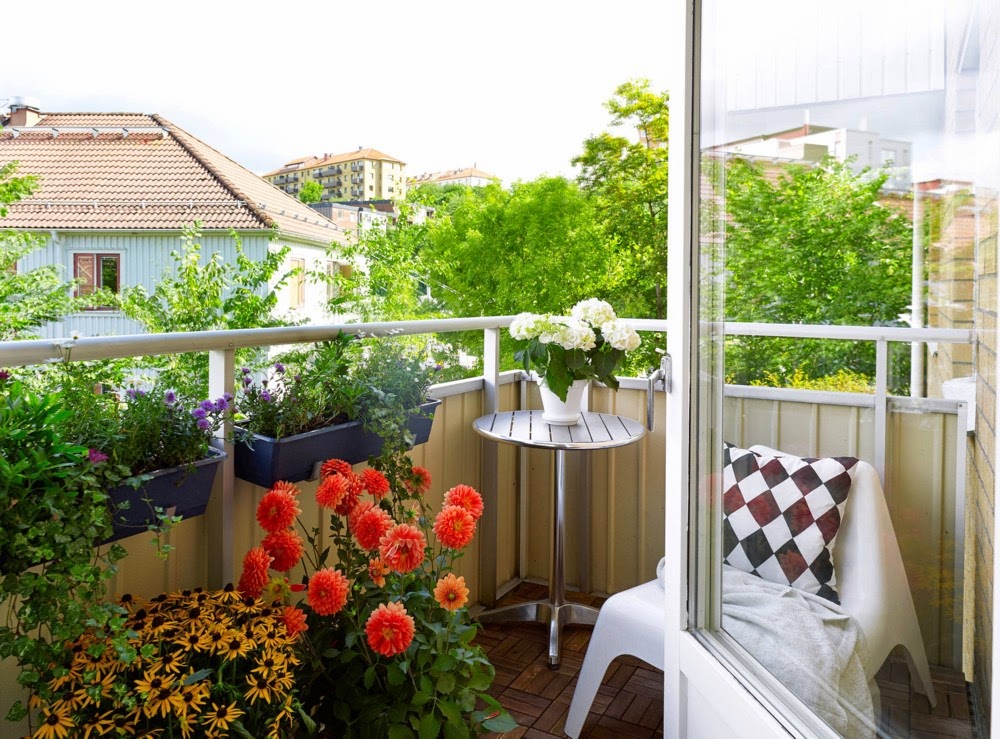 découvrir l'endroit du décor : FLEURI