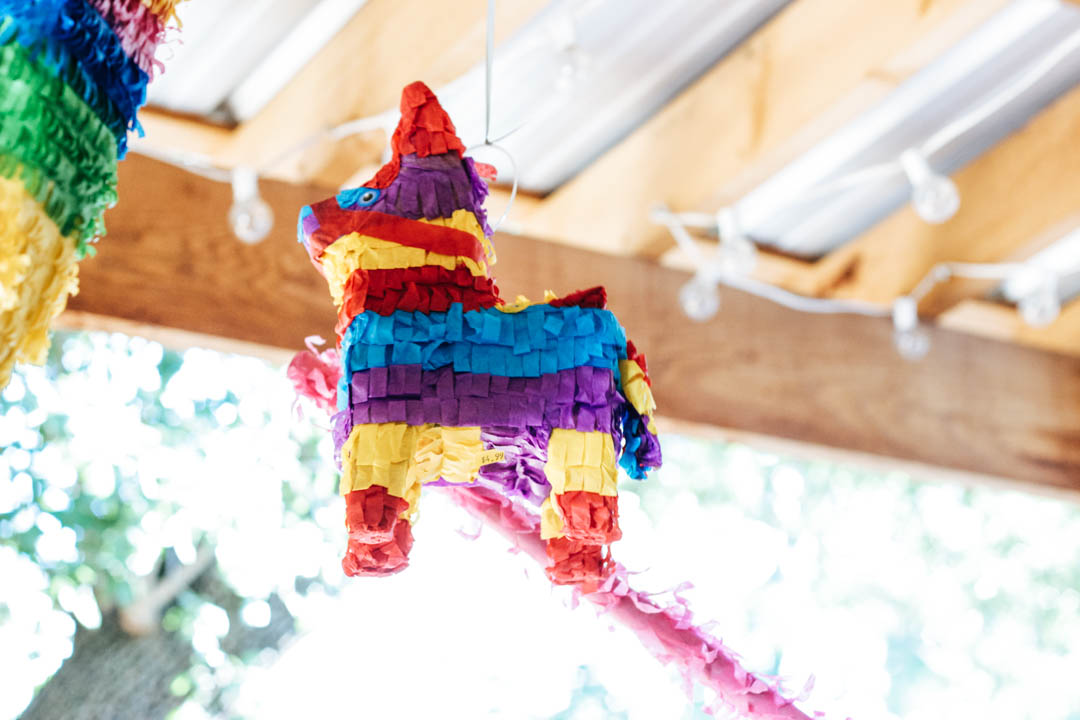 How to Throw an Adult Piñata Party | Venus Trapped in Mars || Dallas