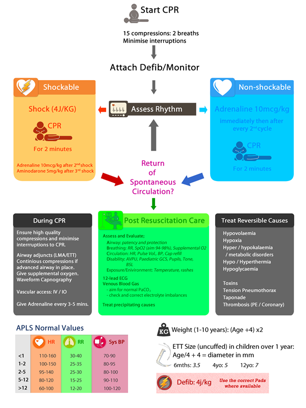 REM: Approach to the Seriously Ill Child - IVLine