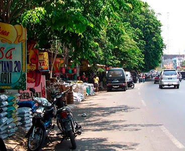 Toko Bunga Surabaya Timur: Perkembangan Bisnis Toko Bunga Surabaya ...