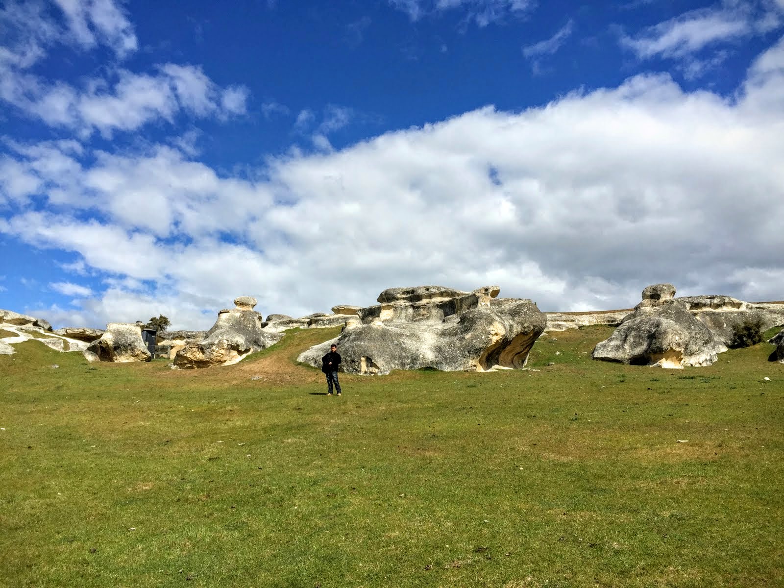 【紐西蘭南島】Day5(2) 奧瑪魯(Oamaru)：象岩群( Elephant Rocks) 與維多利亞白石鎮 (Whitestone ...