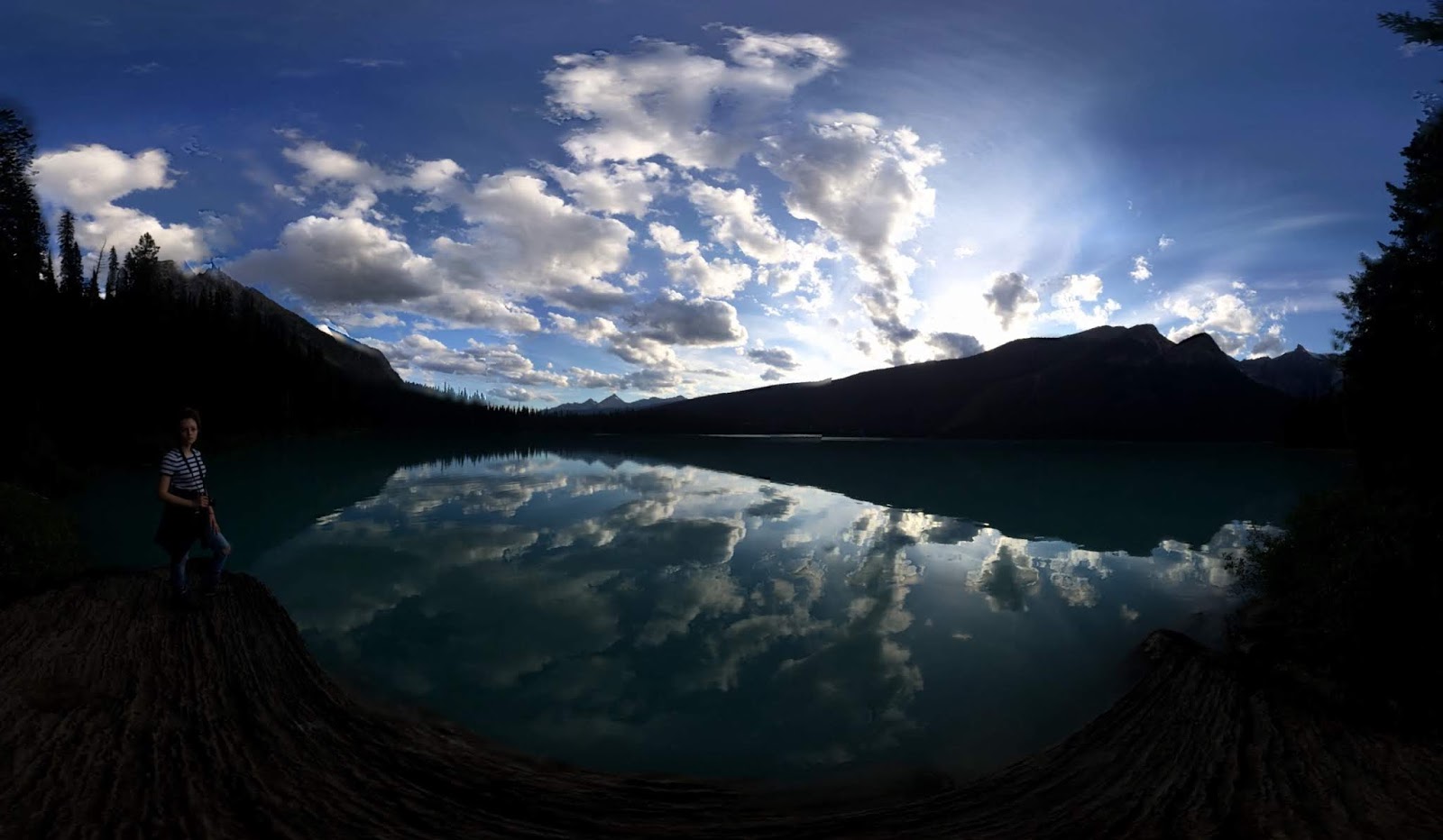 The Helpful Art Teacher: Photography 101: types of camera shots