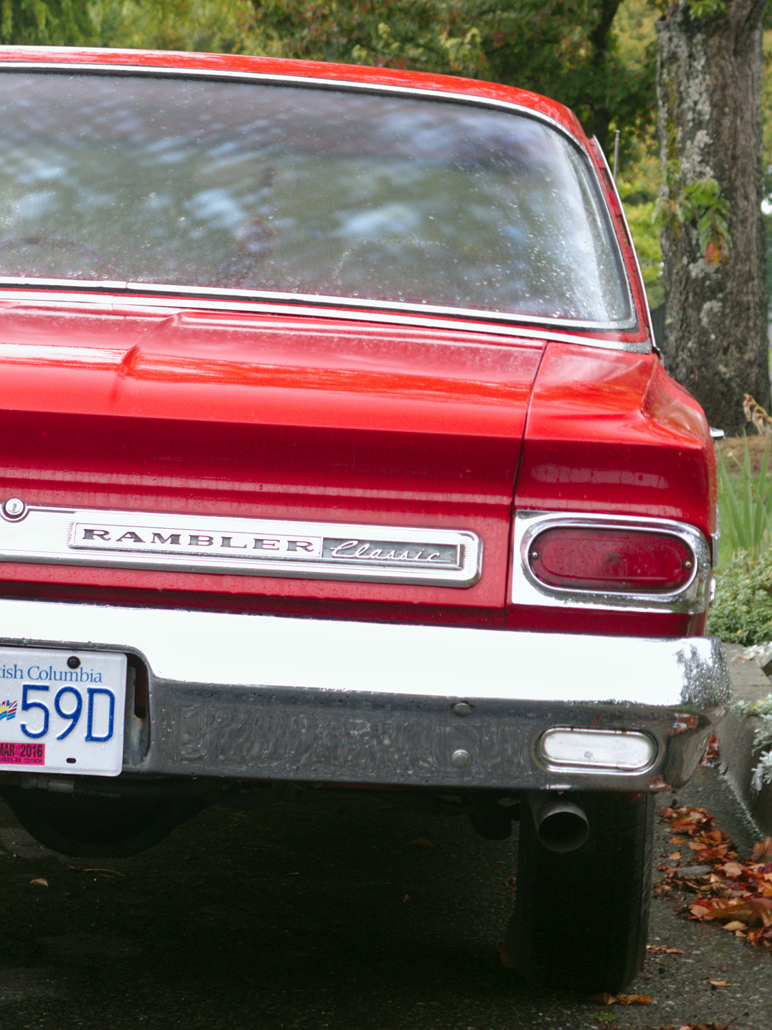 Old Parked Cars Vancouver: 1964 AMC Rambler 770