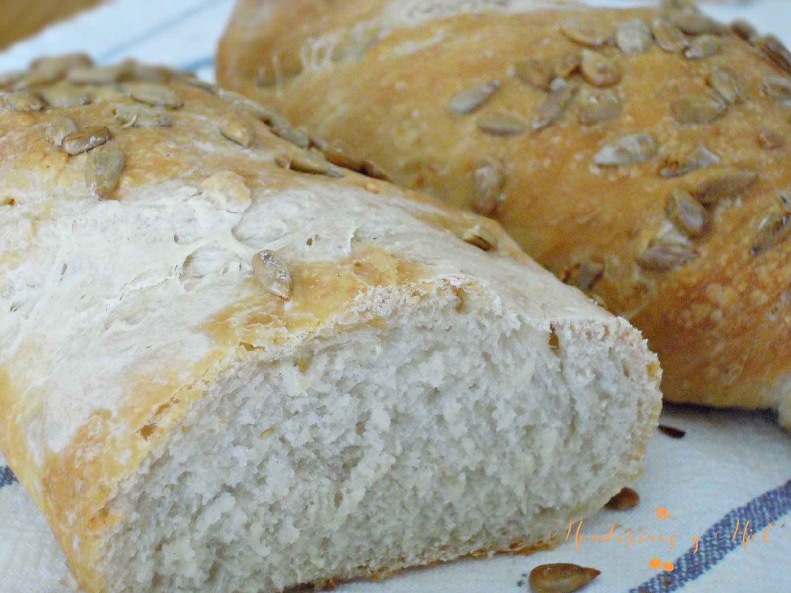 Pan sencillo sin amasado, con pipas de girasol | Mandarinas y miel