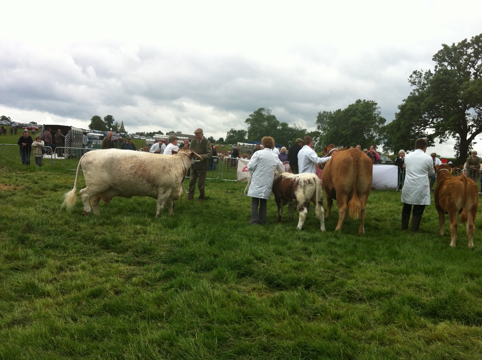 Thinking of the days: Blaston show day