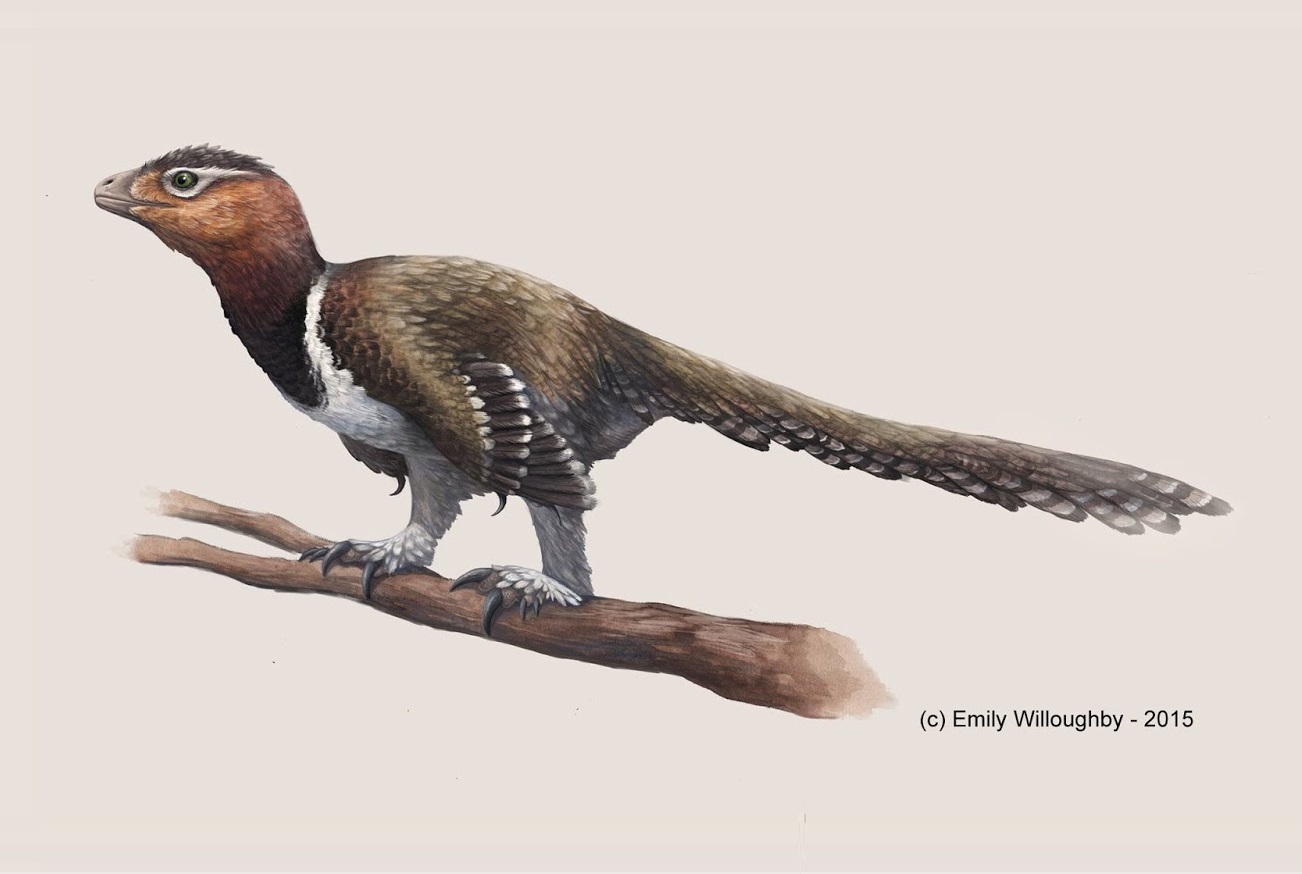 Species New to Science: [Paleontology • 2015] The Phylogenetic ...