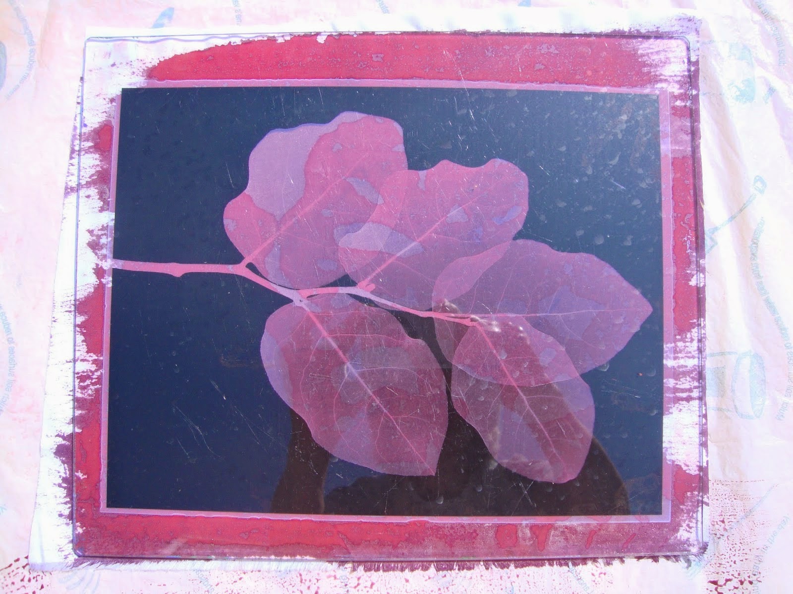 Robbie's Paw Prints: Solar Fast Process