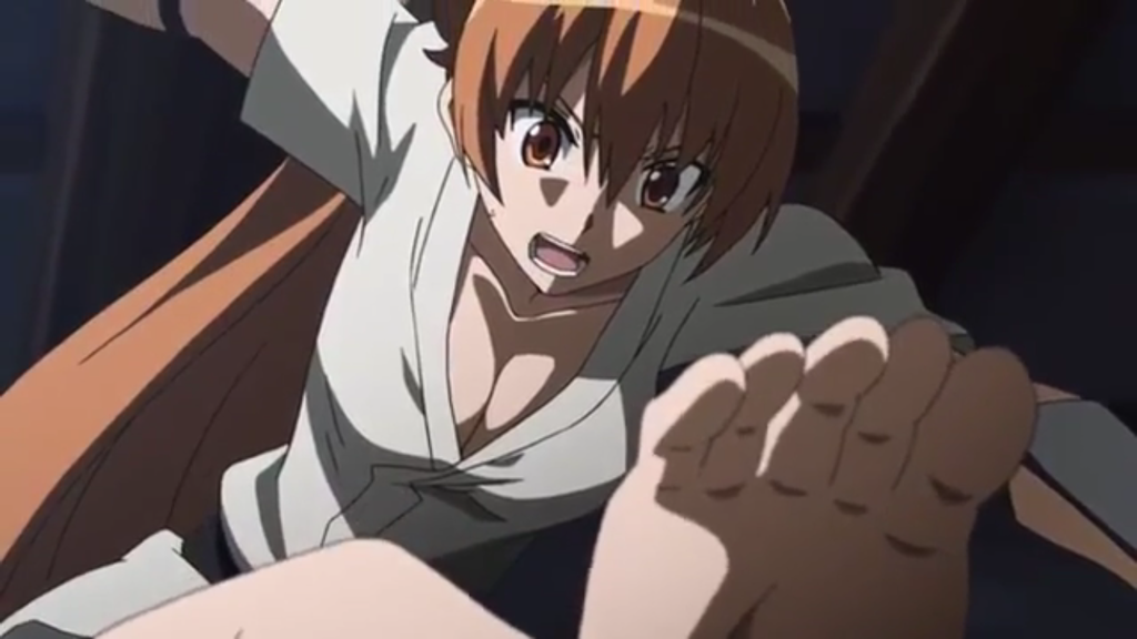 Anime Feet Akame Ga Kill Seryu Ubiquitous