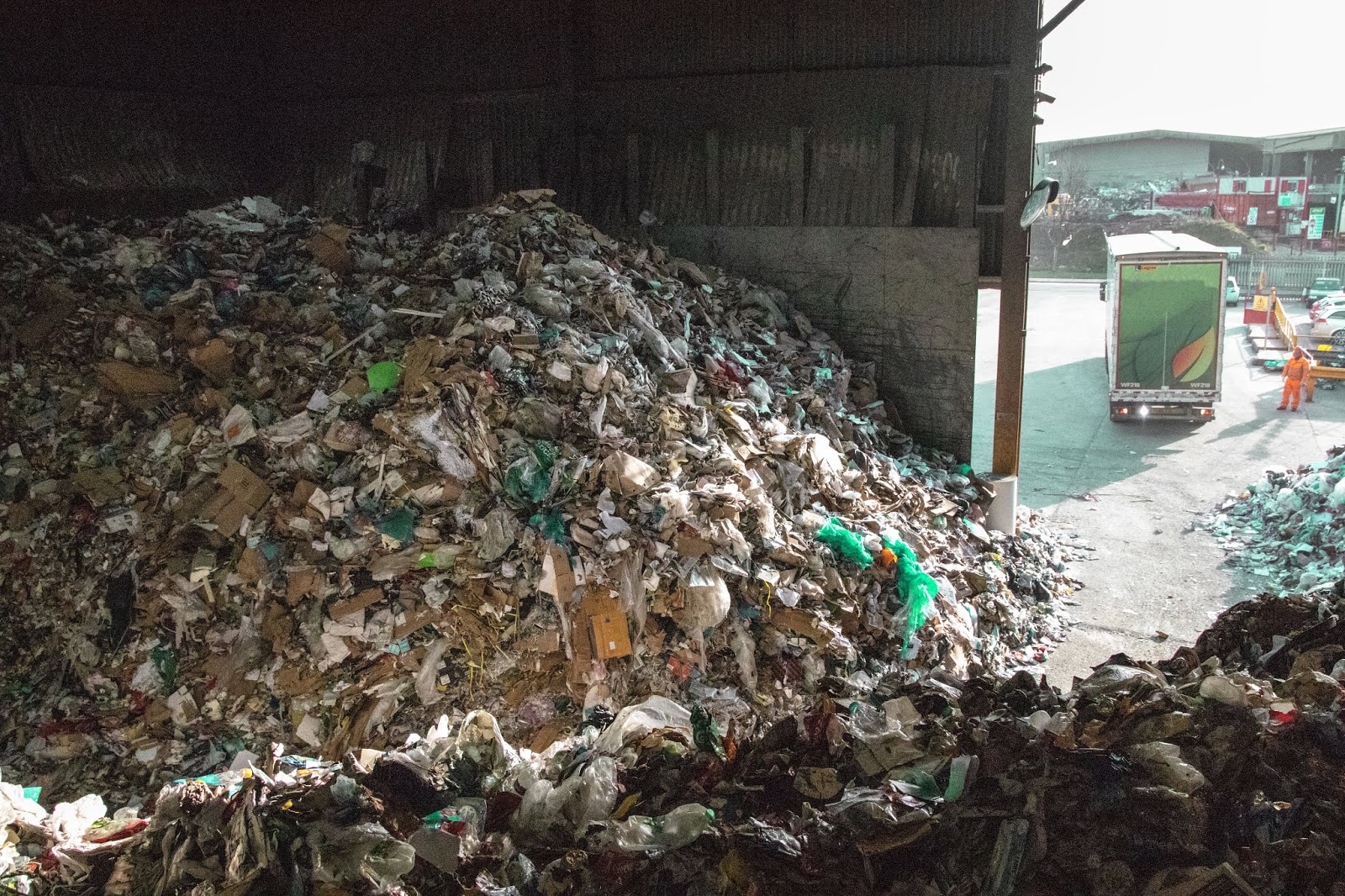 What Happens in a Recycling Plant?