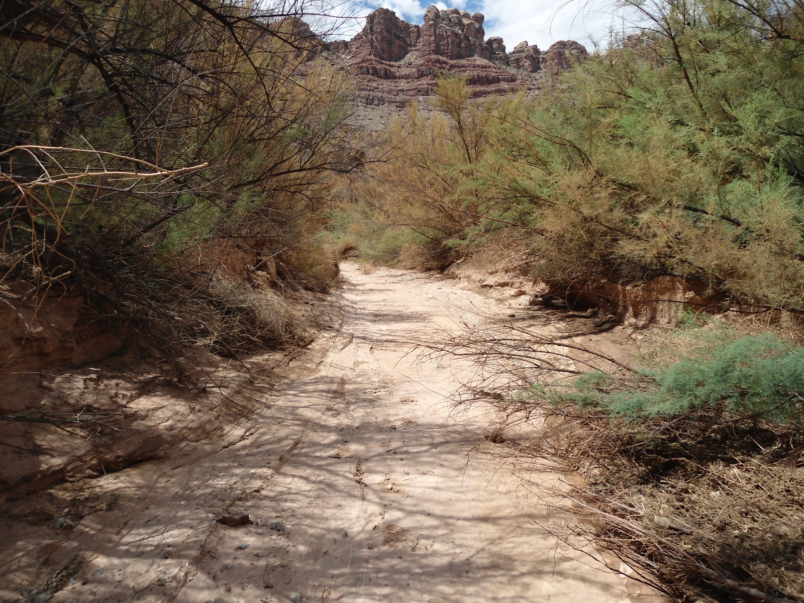 Myatt's Hikes: Lower Red Lake Canyon, Canyonlands NP