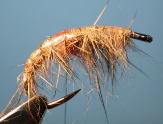 River Fly Box: Shell Backs