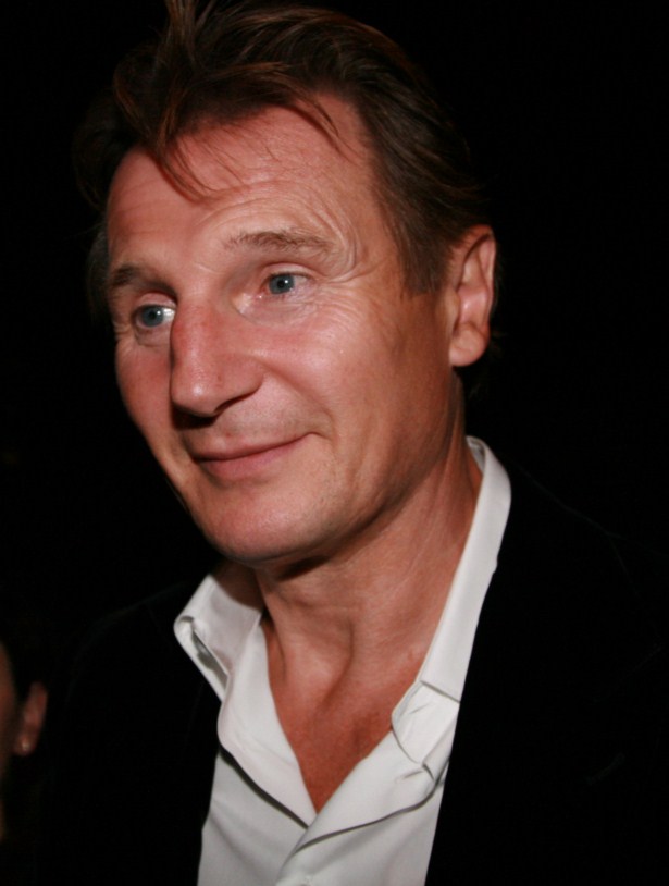 Biografias: Liam Neeson