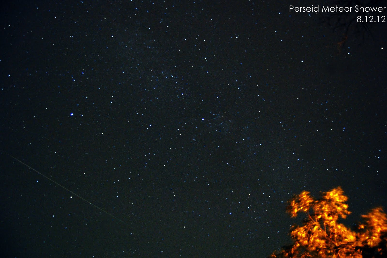 White Wolf : Amazing Perseid Meteor Shower Photos of 2012