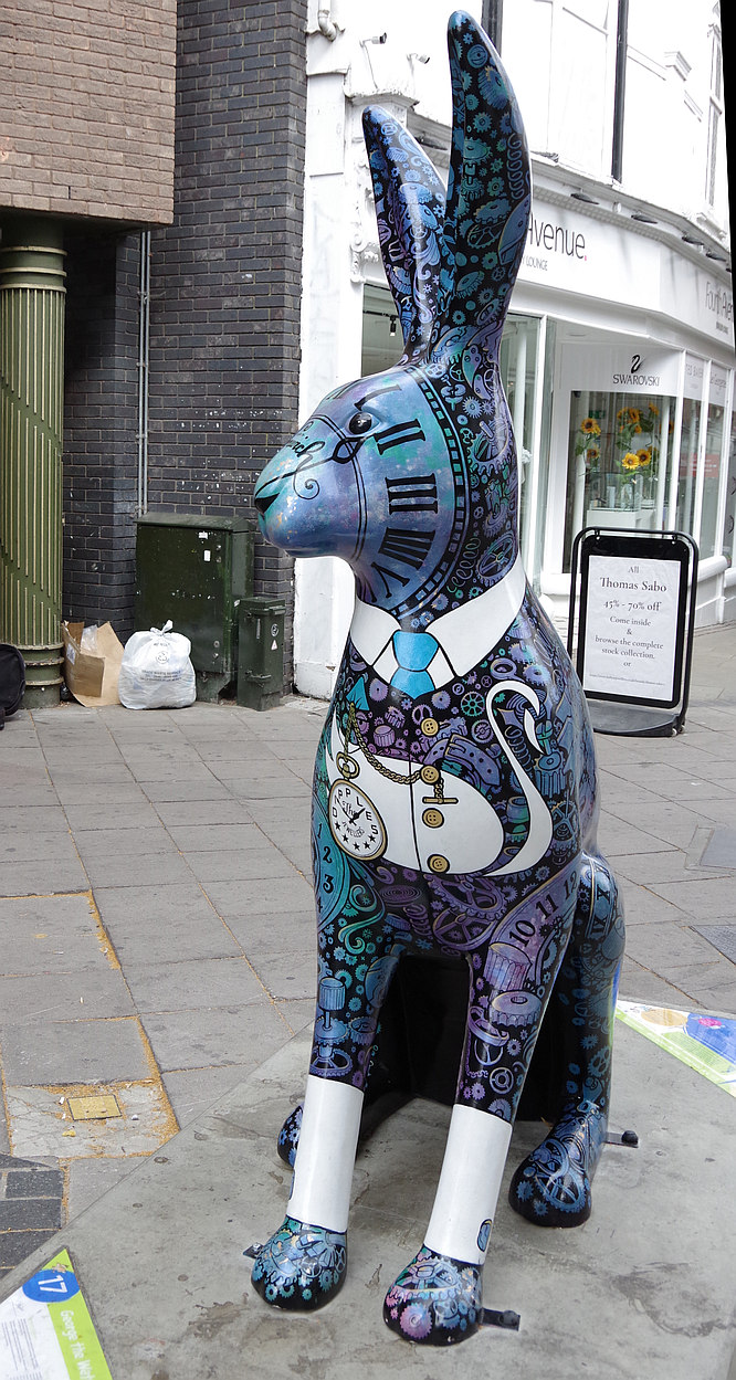 Birds of the Heath: Go Go Hares, Norwich and a Black Redstart