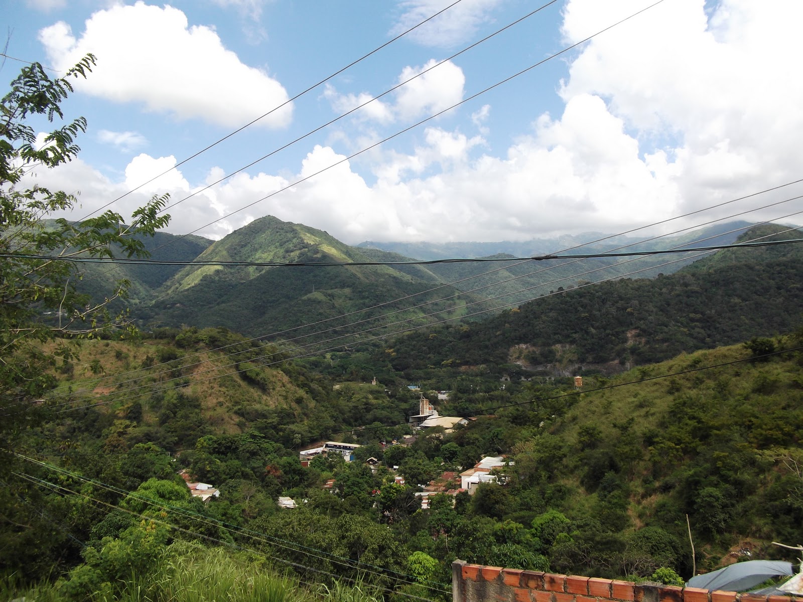 Bitácora de Las Tejerías: CURIEPE