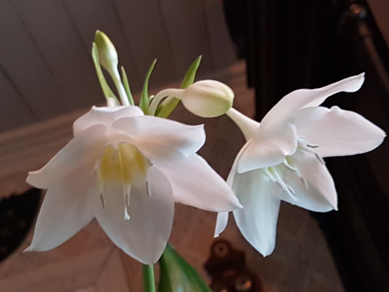 Takalo-Roppolan puutarha- ja mansikkatila: Takalo-Roppolan tonttuovi ...