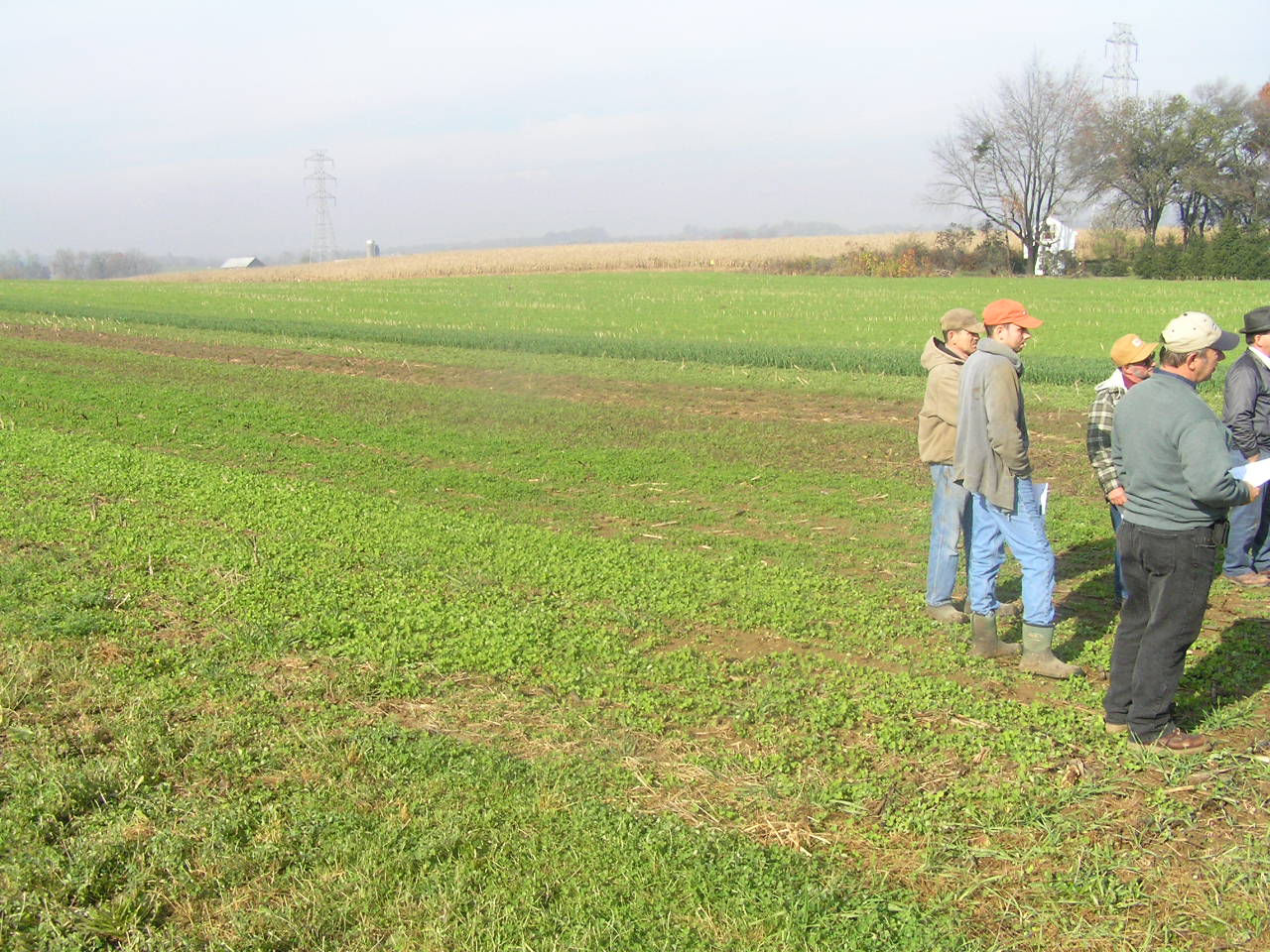 Cover Crop Field Walk – Lebanon Crop Management