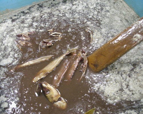 Kusaya - Alchetron, The Free Social Encyclopedia