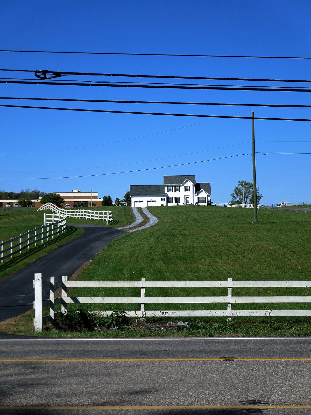 OddBike: OddBike USA Tour: Part XII - Reality Looms