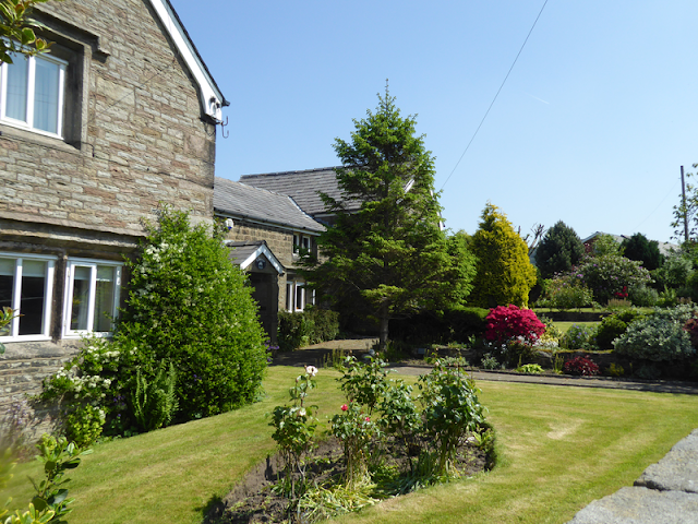 The Meanderthals: A few of Anthony's pics of Harrock Hill Walk