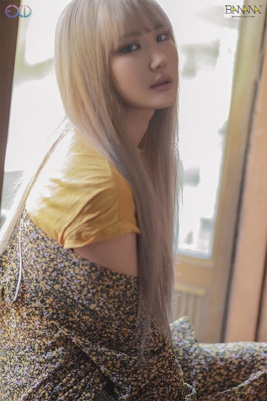 EXID Y Su Nuevo Album "Eclipse"