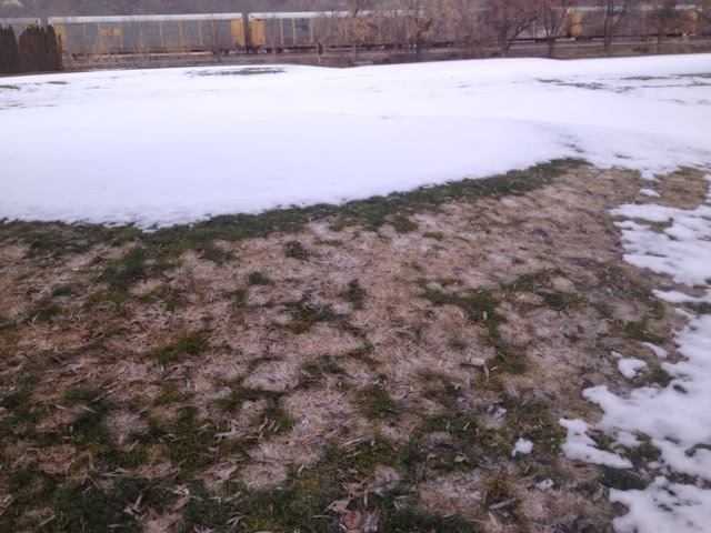 Kamloops Golf and Country Club TURF CARE: January 2014