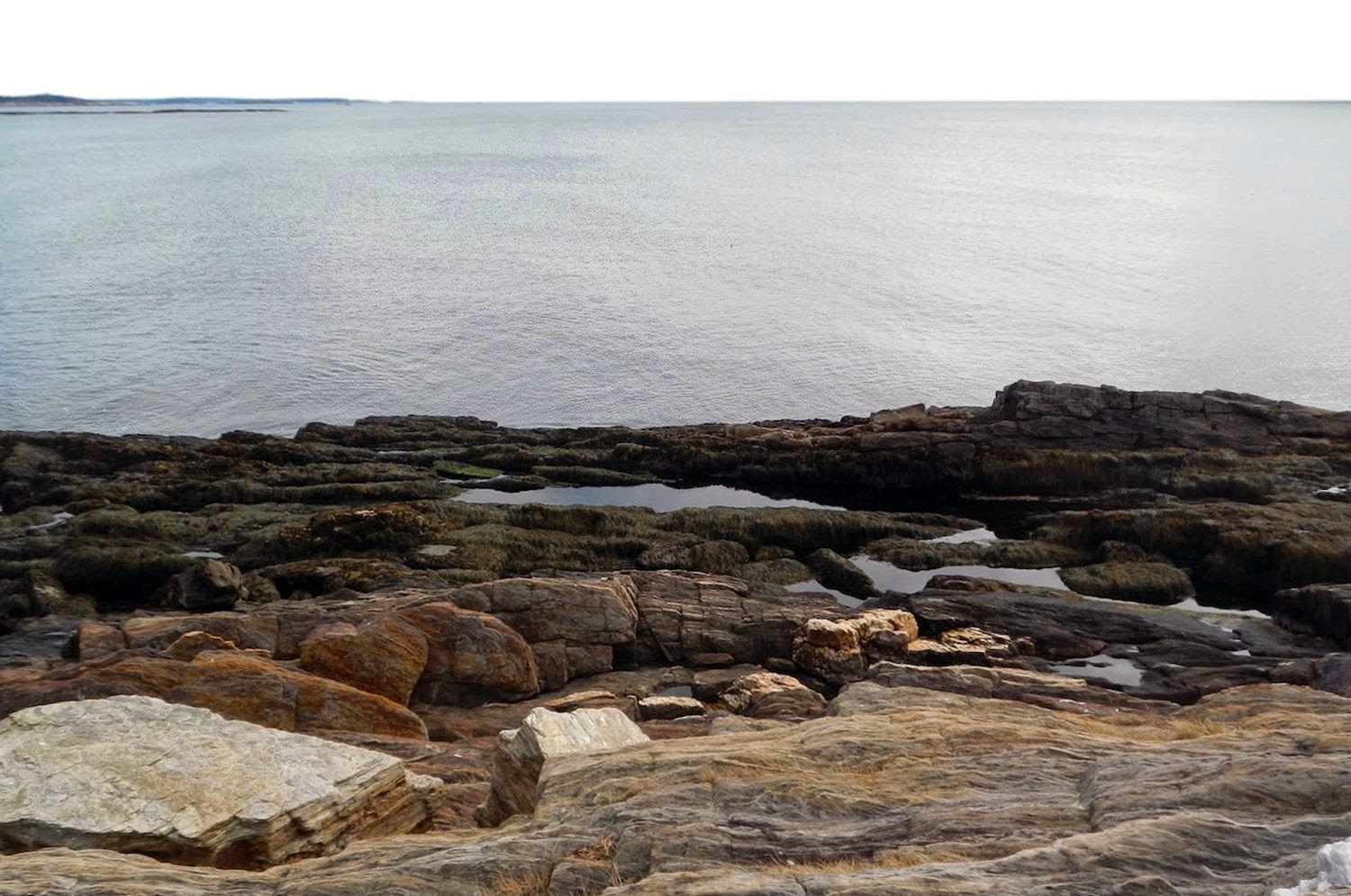 KATE BECK :: ART NOTES