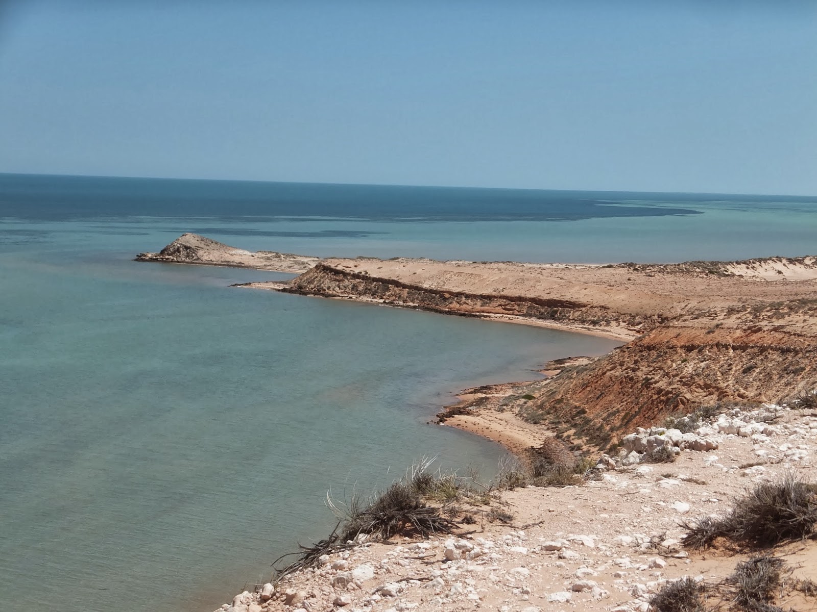 "THE LEYLAND SISTERS": SHARK BAY WORLD HERITAGE AREA