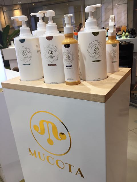 Ombre Hair Colour and 5 Step Scena Plus Mucota Hair Treatment at Kenjo ...