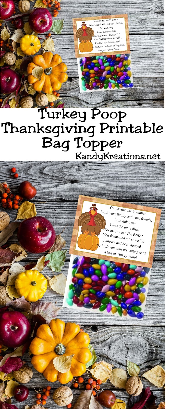 DIY Party Mom: Turkey Poop Printable Bag Topper for Thanksgiving Dinner