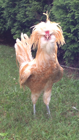 Robin's Fabric Nest: GUESS WHAT DAY IT IS...