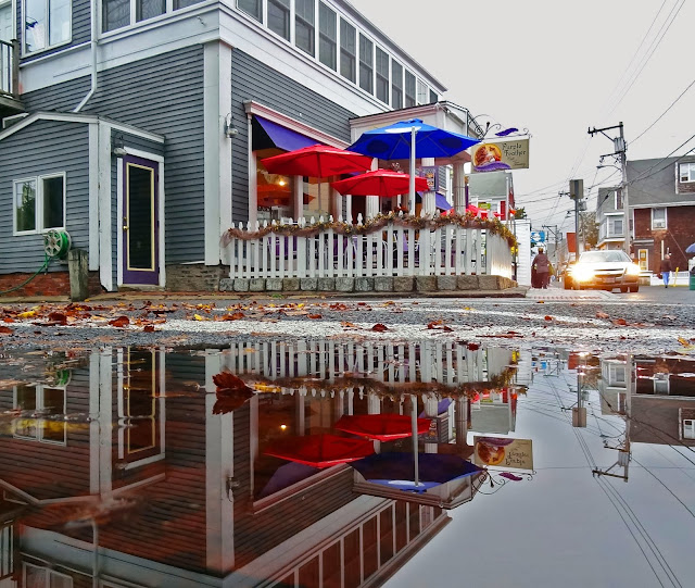 Joe's Retirement Blog: Photography Events by Amy, Part 1 of 3 ...