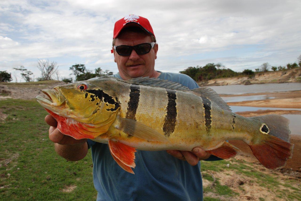 VENEZUELA FISHING: PAVON