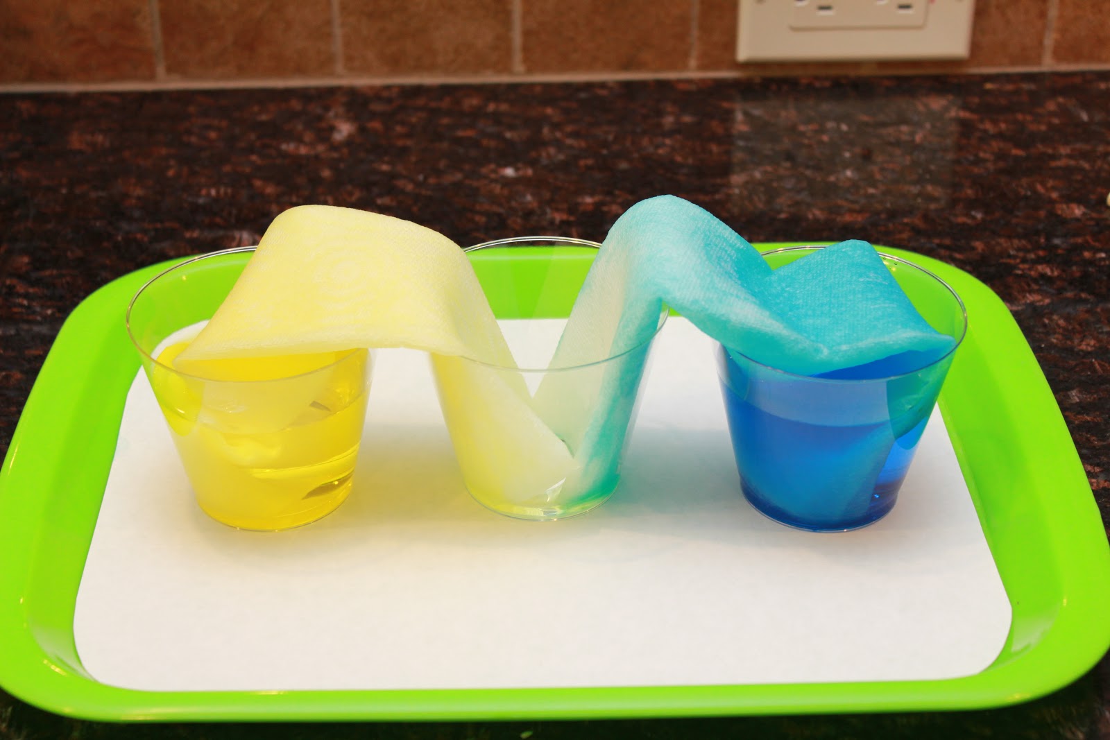 Zayit and Ziva: Fun With Colored Water