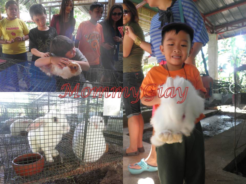MommyGiay: Agri-Farm Tour in Batangas
