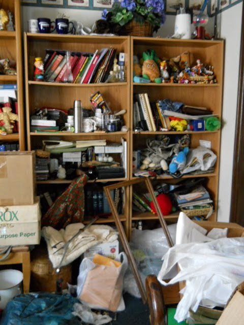 Patterson's Princess Plan: THE DREADED UNORGANIZED PANTRY MONSTER SLAIN