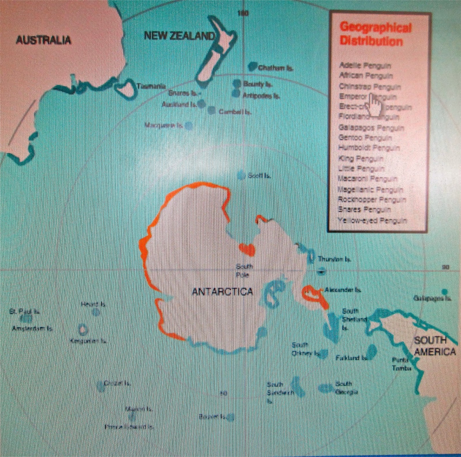 Mrs. Garrabrant's Classroom: Penguin Study