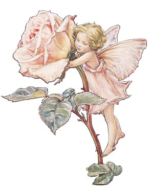 The Pages of Avalon: THE ROSE FAIRY - something whimsical
