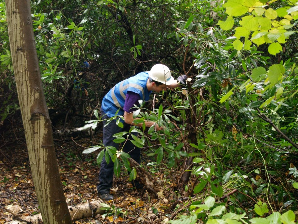 Kingston University Biodiversity Action Group - retired: 10-11-12 ...