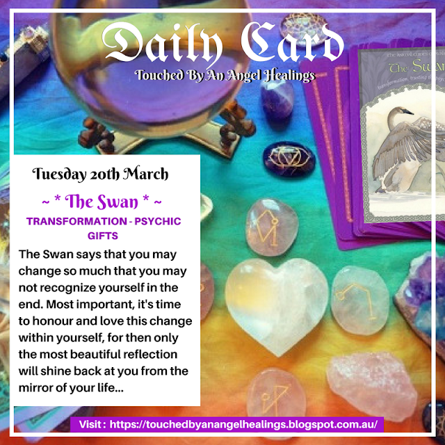 DAILY ORACLE CARD: Tuesday 20th March ~* THE SWAN *~ Transformation ...