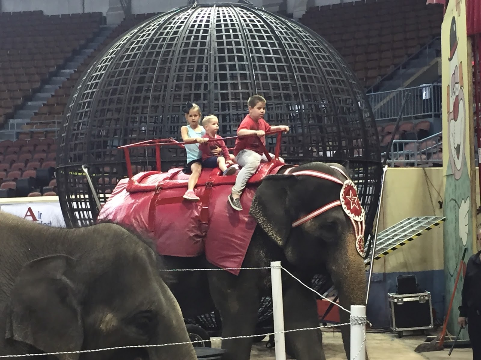 Holloman Happenings: First circus experience
