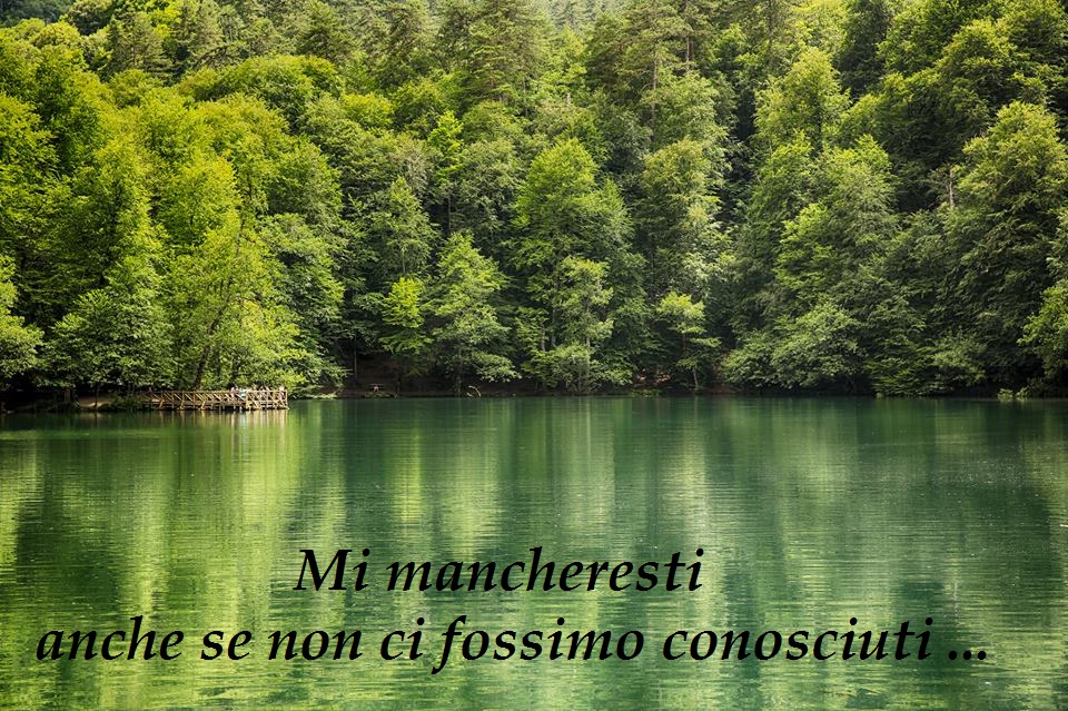 IMMAGINI MI MANCHI TANTO - MESSAGGI DOLCI